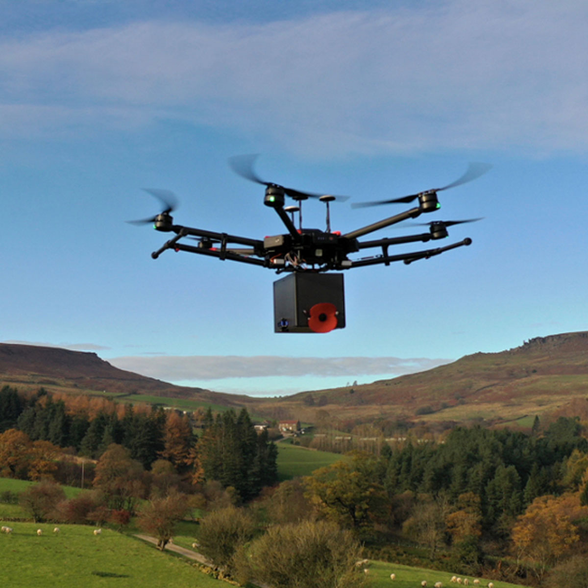 JC Atkinson | Aerial Ashes