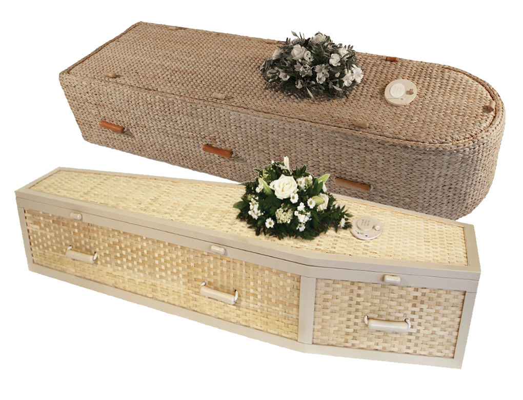 daisy-coffins – Coffins by JC Atkinson